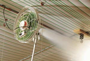 Circulation Stir Fan System Maximizes Litter Moisture Removal - Home