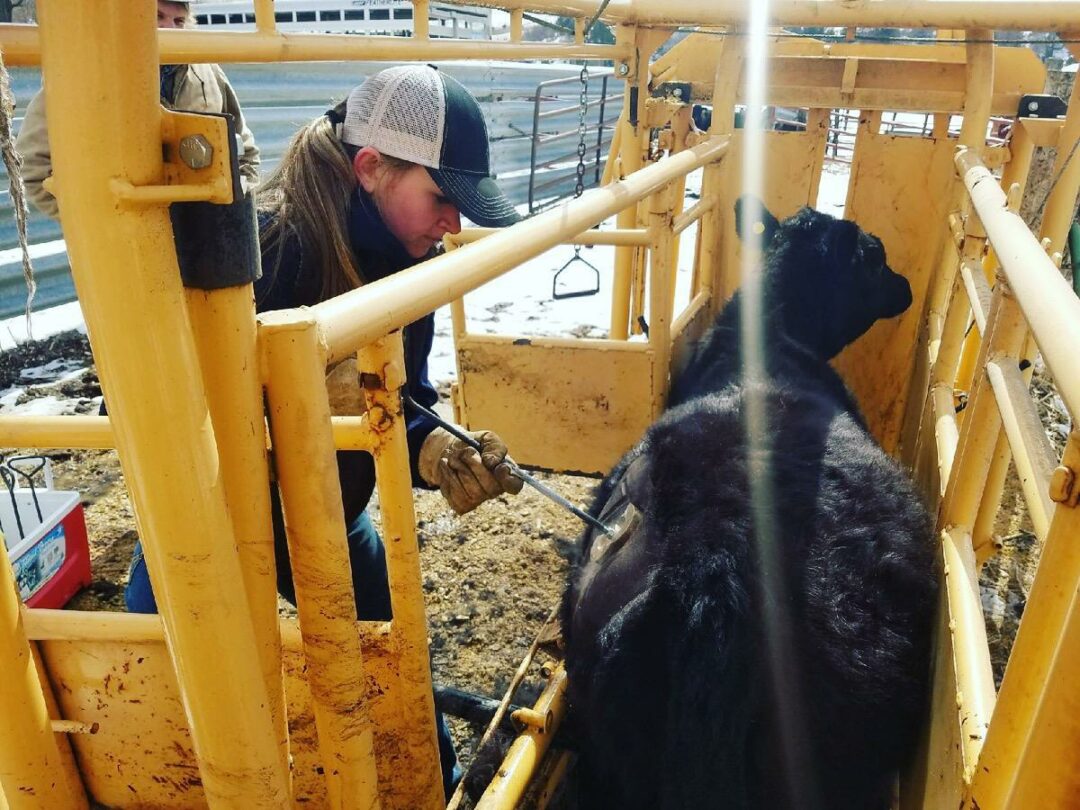 Meet Elizabeth Beeler | Double L Team Member